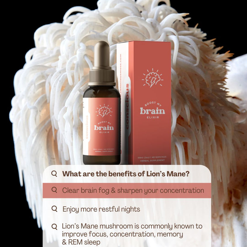 Conscious Moss: The 100% Organic Sea Moss Experts